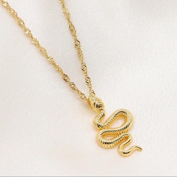 Jewelry | Snake Necklace | Poshmark